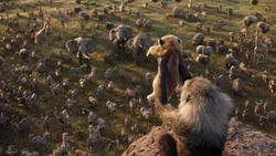 Simba's presentation | The Lion King Wiki | Fandom