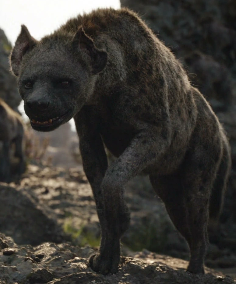Azizi | The Lion King Wiki | Fandom