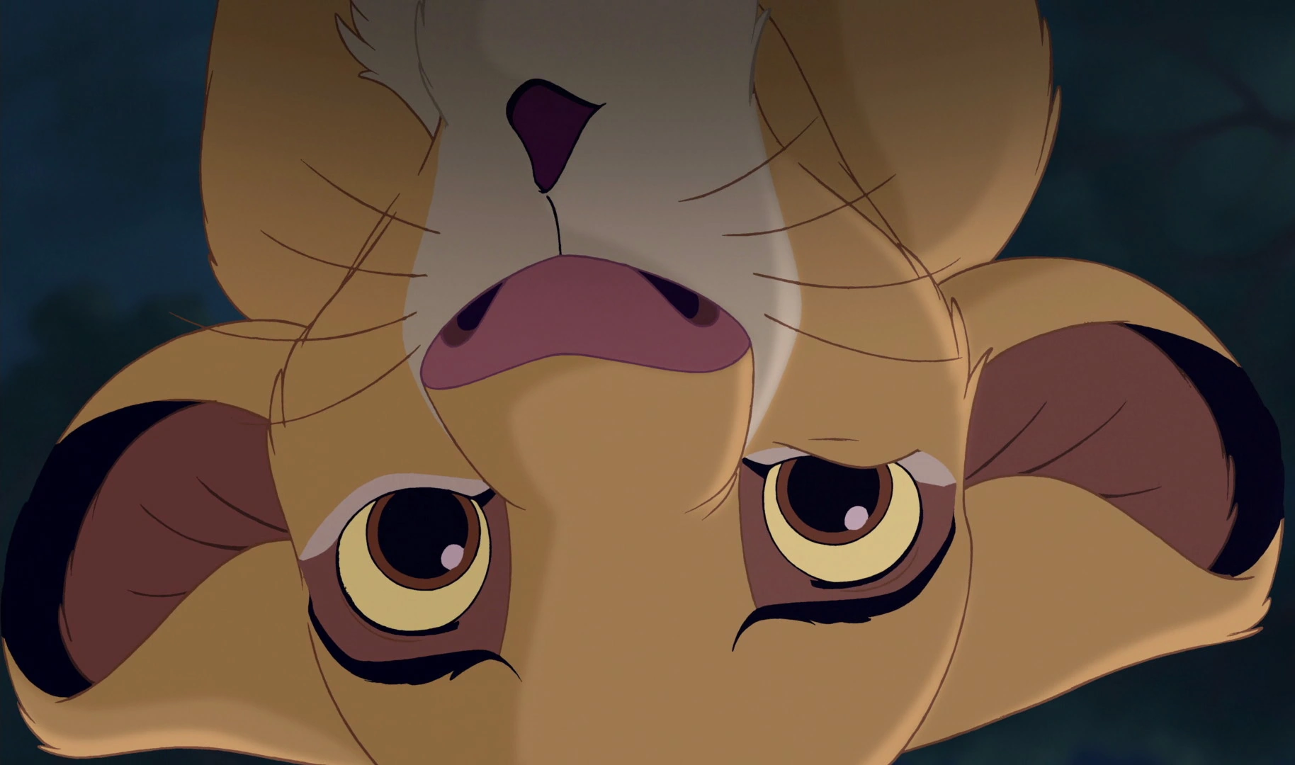 Talk:Simba | The Lion King Wiki | FANDOM powered by Wikia