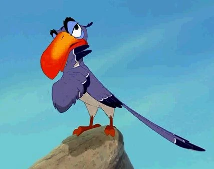 Zazu The Lion King Animals