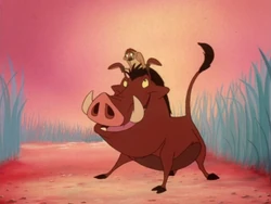 Once Upon a Timon | The Lion King Wiki | Fandom