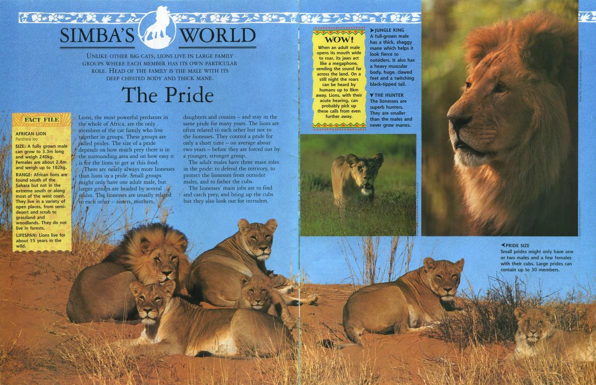 Simba's World | The Lion King Wiki | Fandom