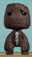 Sack Person | Little Big Planet Wiki | FANDOM powered by Wikia