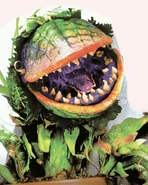 Audrey II | Little Shop of Horrors Wiki | Fandom