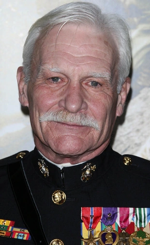 Dale Dye | Live Action Wiki | Fandom