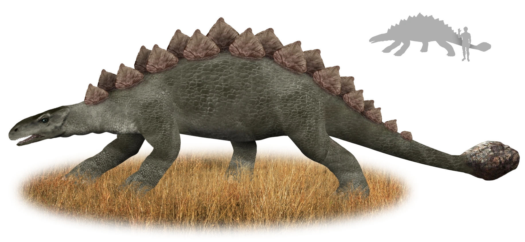 Muhuru | Living Dinopedia Wiki | Fandom