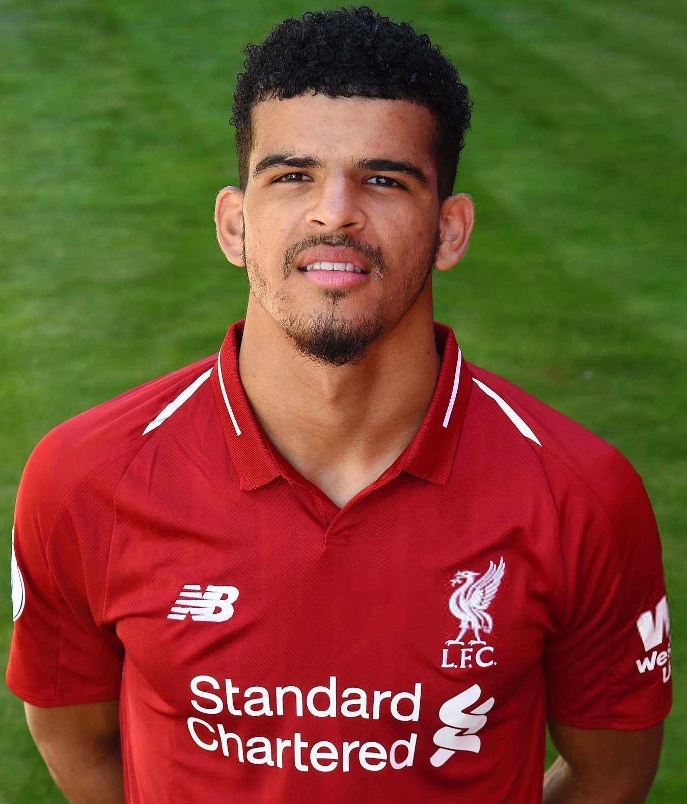 Dominic Solanke | Liverpool FC Wiki | Fandom
