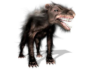 Killer Shrew | LK MonstersPedia Wiki | Fandom