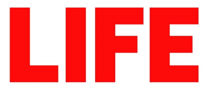 Life (TV network) | Logopedia | FANDOM powered by Wikia