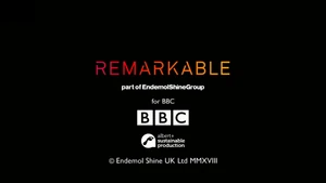 Remarkable Television | Logopedia | Fandom