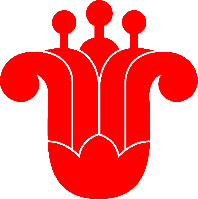 China Southern Airlines | Logopedia | FANDOM powered by Wikia