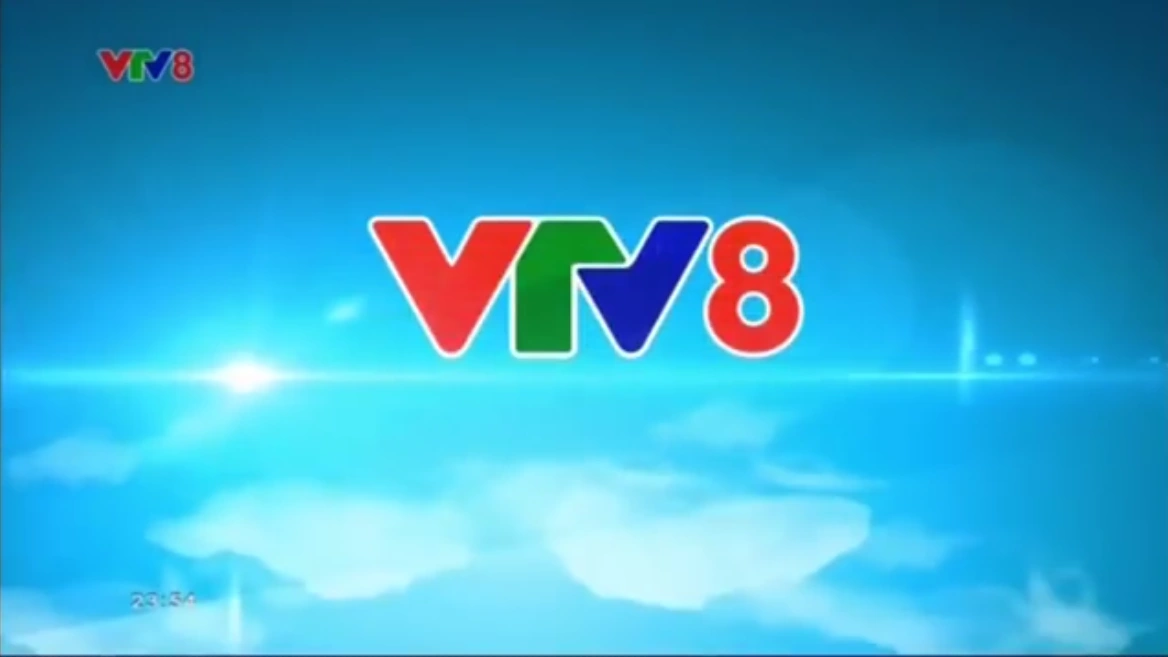 VTV8/Other | Logopedia | Fandom