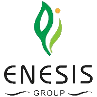 Enesis Group | Logopedia | Fandom