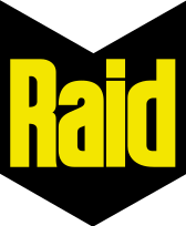 Raid | Logopedia | Fandom