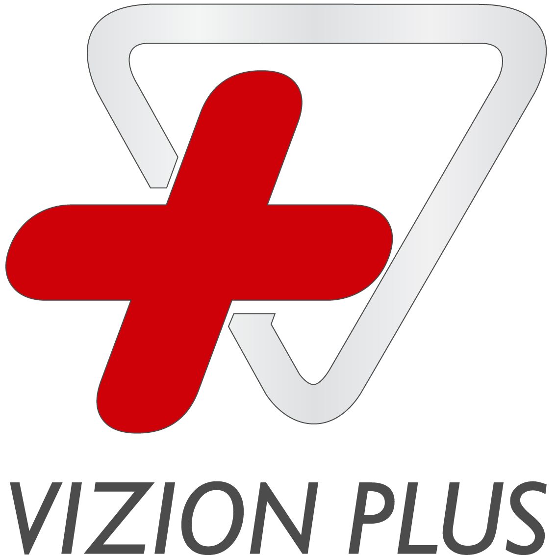 Vizion Plus | Logopedia | FANDOM powered by Wikia