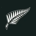 New Zealand national cricket team | Logopedia | Fandom