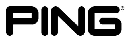 Image - Ping-logo.png | Logopedia | FANDOM powered by Wikia