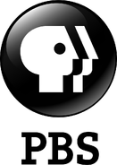 PBS/Other | Logopedia | Fandom
