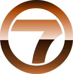 WSVN | Logopedia | Fandom