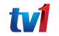 Category:Television channels in Malaysia | Logopedia | FANDOM powered ...