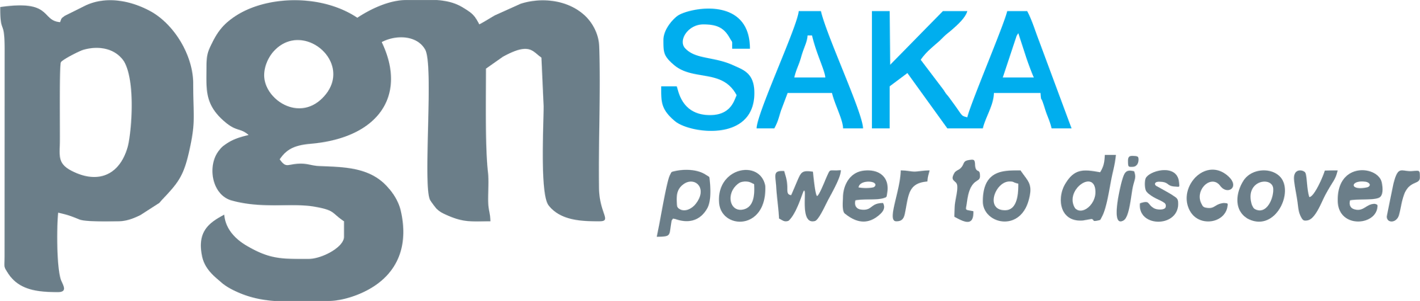 Saka Energi Indonesia | Logopedia | Fandom