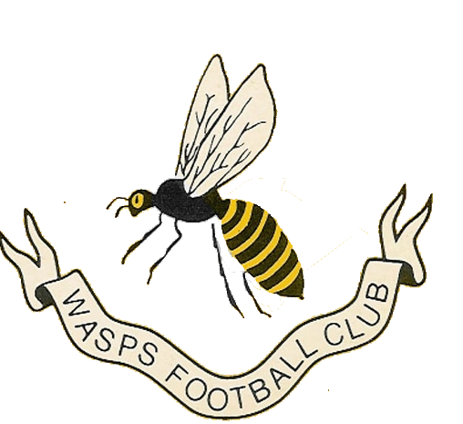 Wasps RFC | Logopedia | Fandom