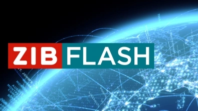 ZIB Flash | Logopedia | FANDOM powered by Wikia