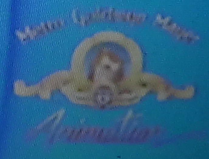 Metro-Goldwyn-Mayer Animation | Closing Logo Group Wikia | Fandom