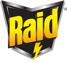 Raid | Logopedia | Fandom