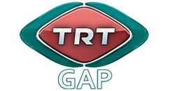 TRT GAP | Logopedia | Fandom