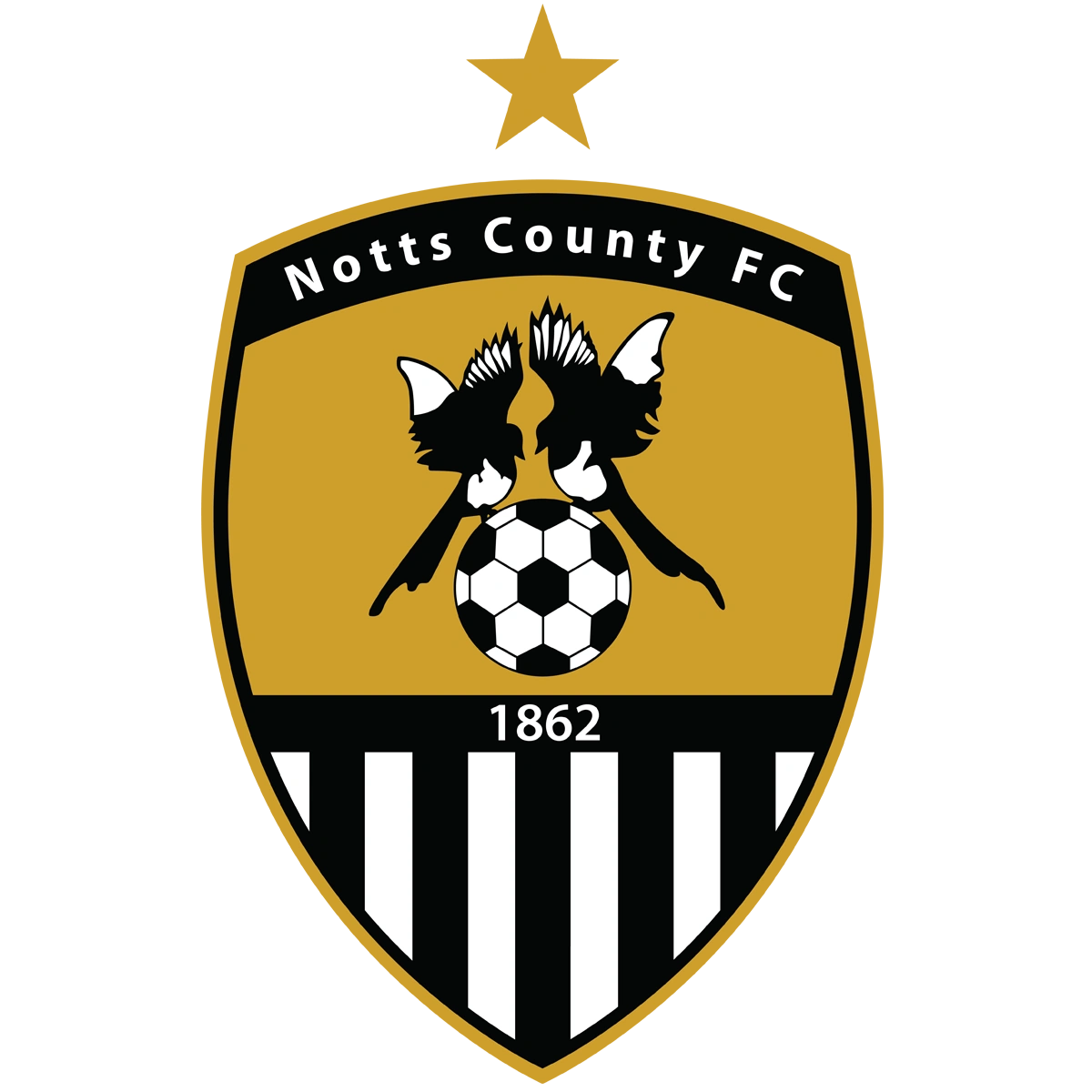 Image - Notts County FC logo (one gold star).png | Logopedia | FANDOM ...