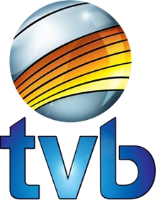 TVB Campinas | Logopedia | FANDOM powered by Wikia