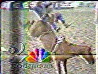 KNOP-TV | Logopedia | Fandom