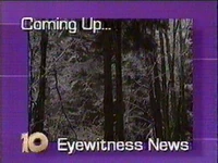 WTEN | Logopedia | Fandom