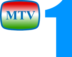 M1 | Logopedia | FANDOM powered by Wikia