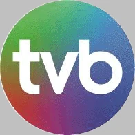 TVB Campinas | Logopedia | FANDOM powered by Wikia