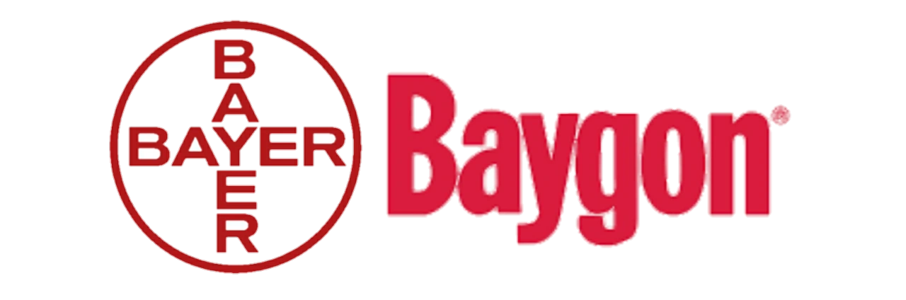 Baygon | Logopedia | Fandom