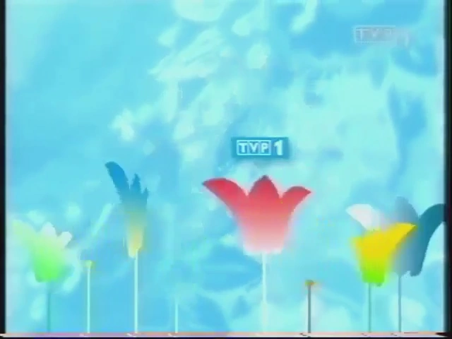 Image - TVP1 2004-2010 (24).png | Logopedia | FANDOM powered by Wikia