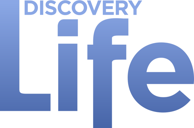 File:Discovery Life 2016 logo.svg | Logopedia | FANDOM powered by Wikia