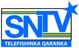 SNTV | Logopedia | Fandom