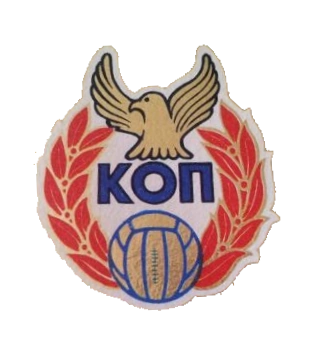 Cyprus Football Association | Logopedia | Fandom