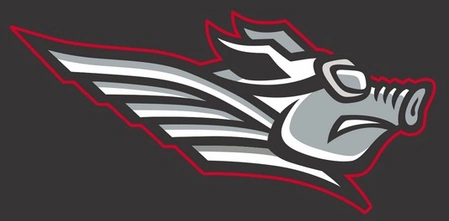 Texas AirHogs | Logopedia | Fandom