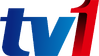 Category:Television channels in Malaysia | Logopedia | Fandom