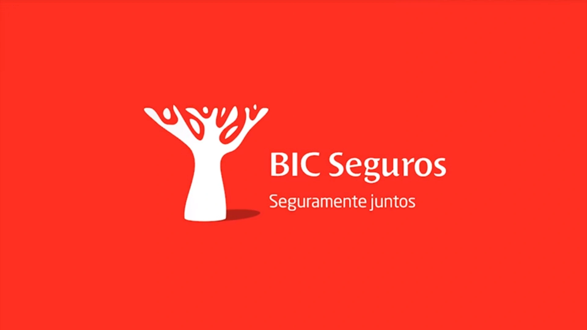 Banco BIC | Logofanonpedia | Fandom