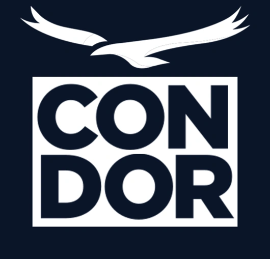 Condor Network/Affiliates | Logofanonpedia | Fandom
