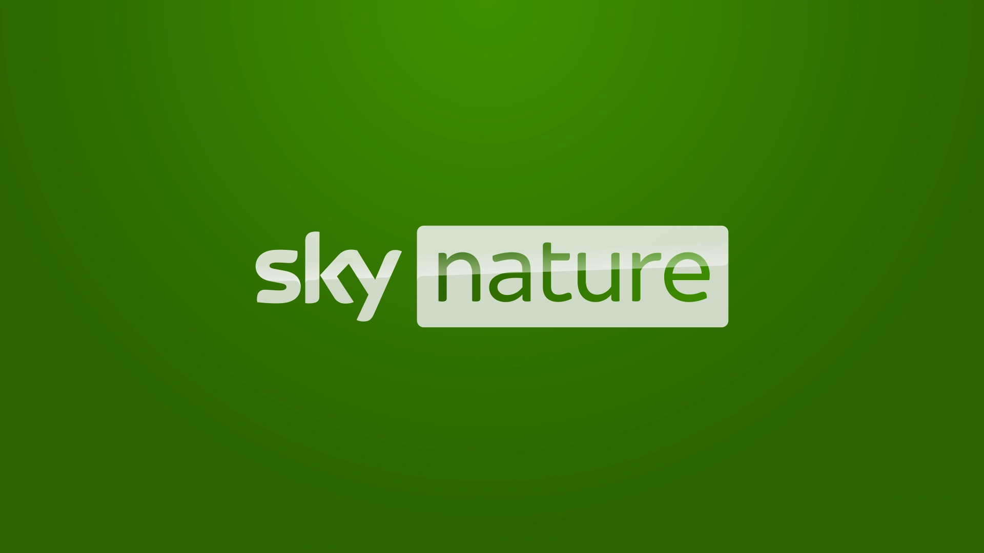 Sky Nature (Anglosaw) | Logofanonpedia | Fandom