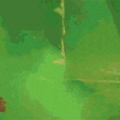 Biqtch Puddin | RuPaul's Drag Race Wiki | Fandom