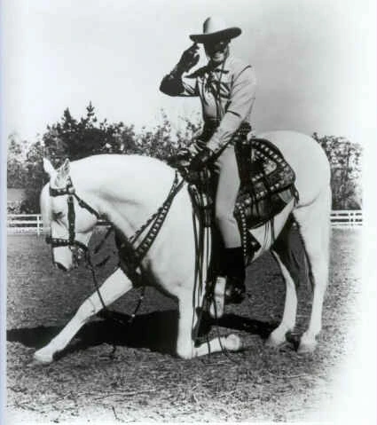 Silver | Lone Ranger Wiki | Fandom