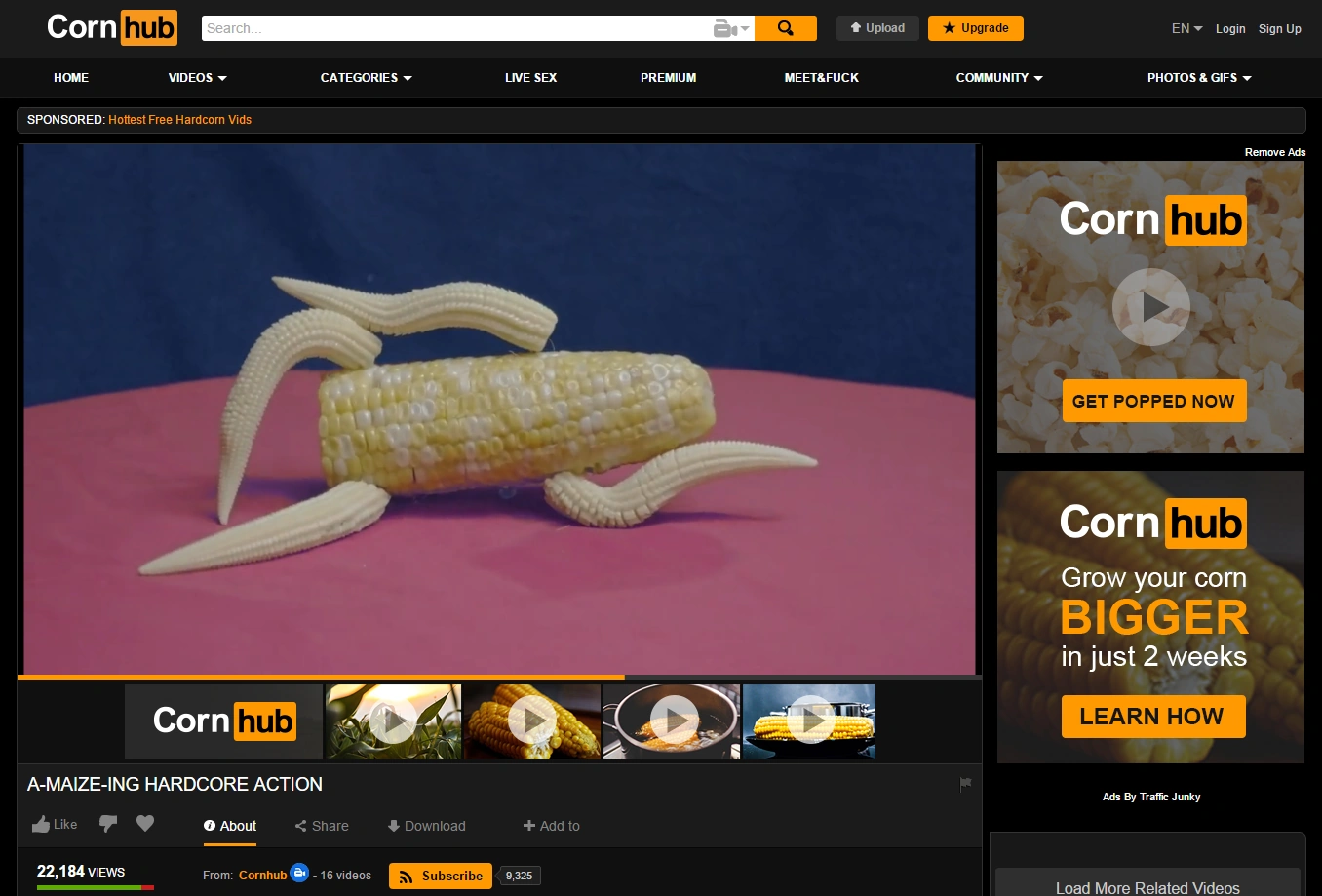 Image - Cornhub.PNG | New Era | FANDOM powered by Wikia