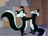 The Cats Bah | Looney Tunes Wiki | Fandom